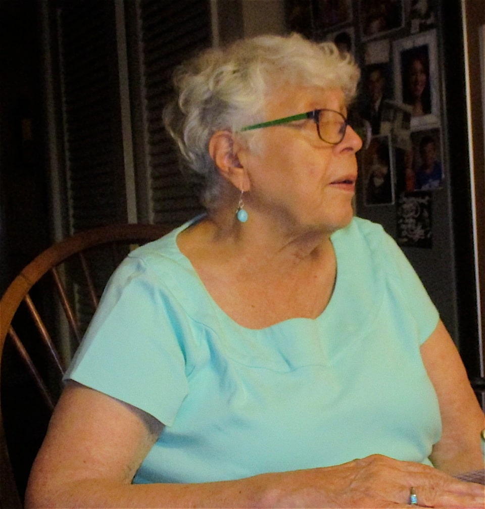 Healthy Seniors | Effortlessly Healthy Meals